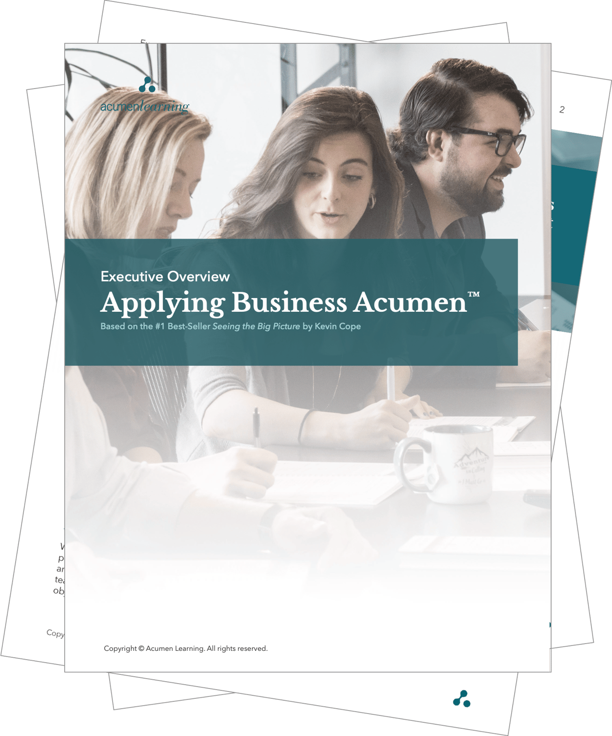 Applying Business Acumen Executive Overview